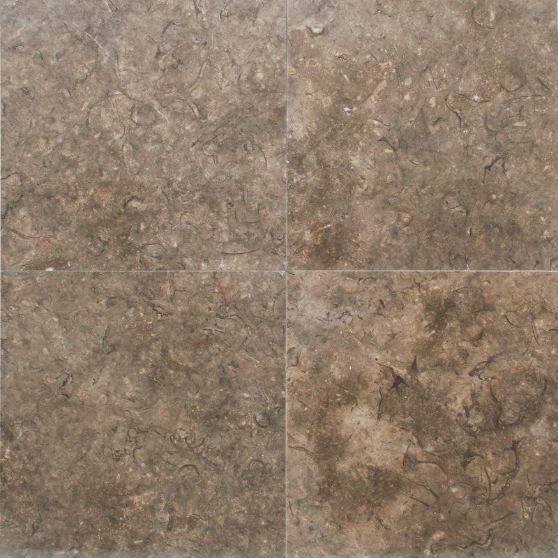 Fossil Brown Limestone – MM Tile And Stone